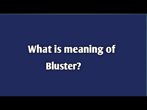 Meaning of bluster || word meaning || Let's Study Class