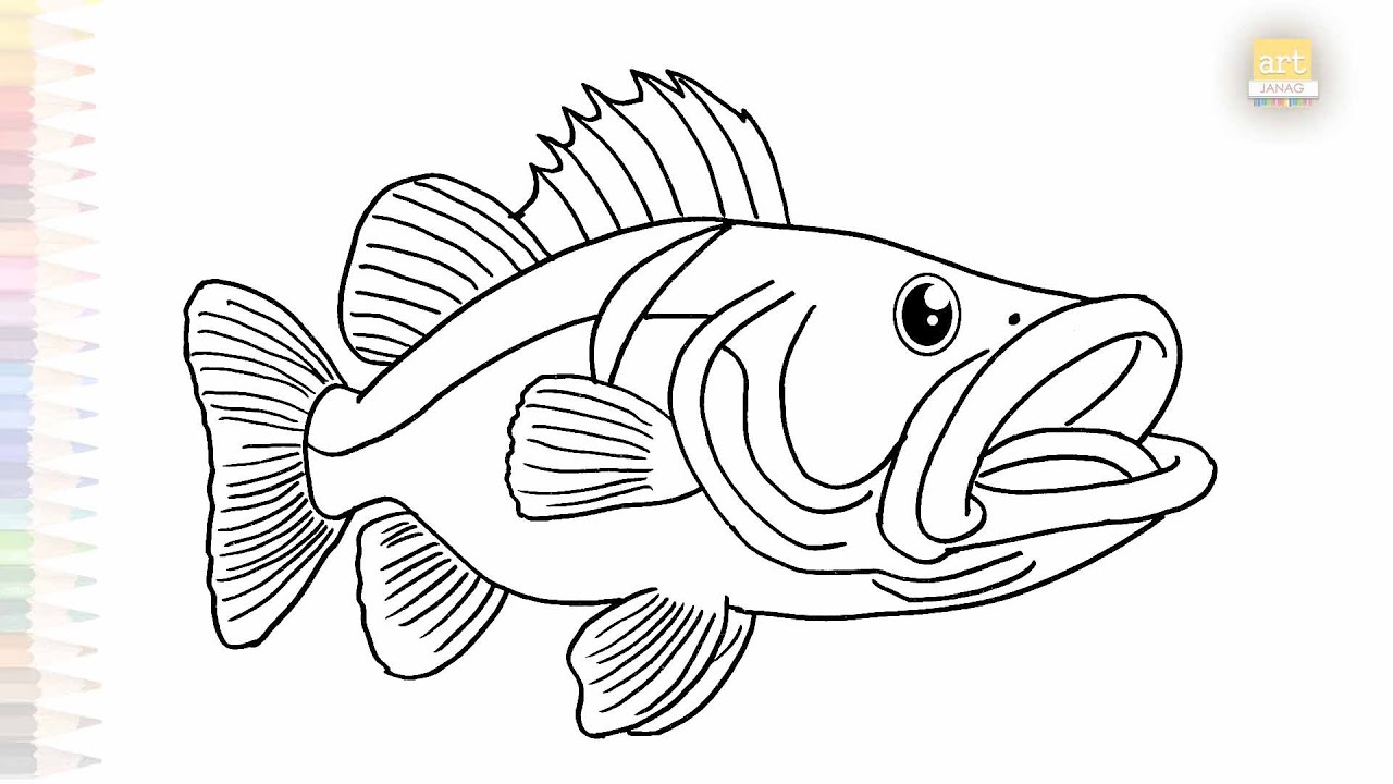 Bass fish drawing easy | Fish outline sketches | How to draw Bass fish step by step | #artjanag