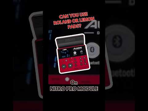 Alesis Nitro PRO Drum Module BFD Brain with Cables OPEN BOX | Reverb