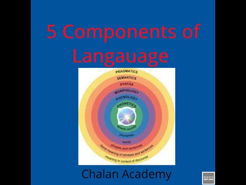 5 Components of Language