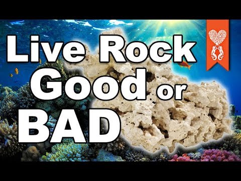 Should you use Live rock for your aquarium? is it good or bad? "Reefing Mistake Monday"