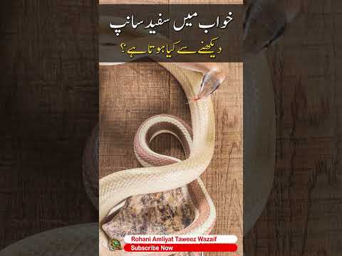 Khwab mein Safed Sanp dekhna | Khwabon ki Tabeer 225 #khwabnama #Dreaminterpretation