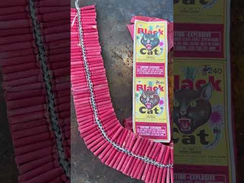Black Cat ๐โโฌ Vintage ๐งจ Firecrackers Demo 7/8 240s DOT Class C LADY FINGERS ๐งจ๐ฅ๐งจ๐ฅ๐งจ๐ฅ๐งจ๐ฅ๐งจ๐ฅ