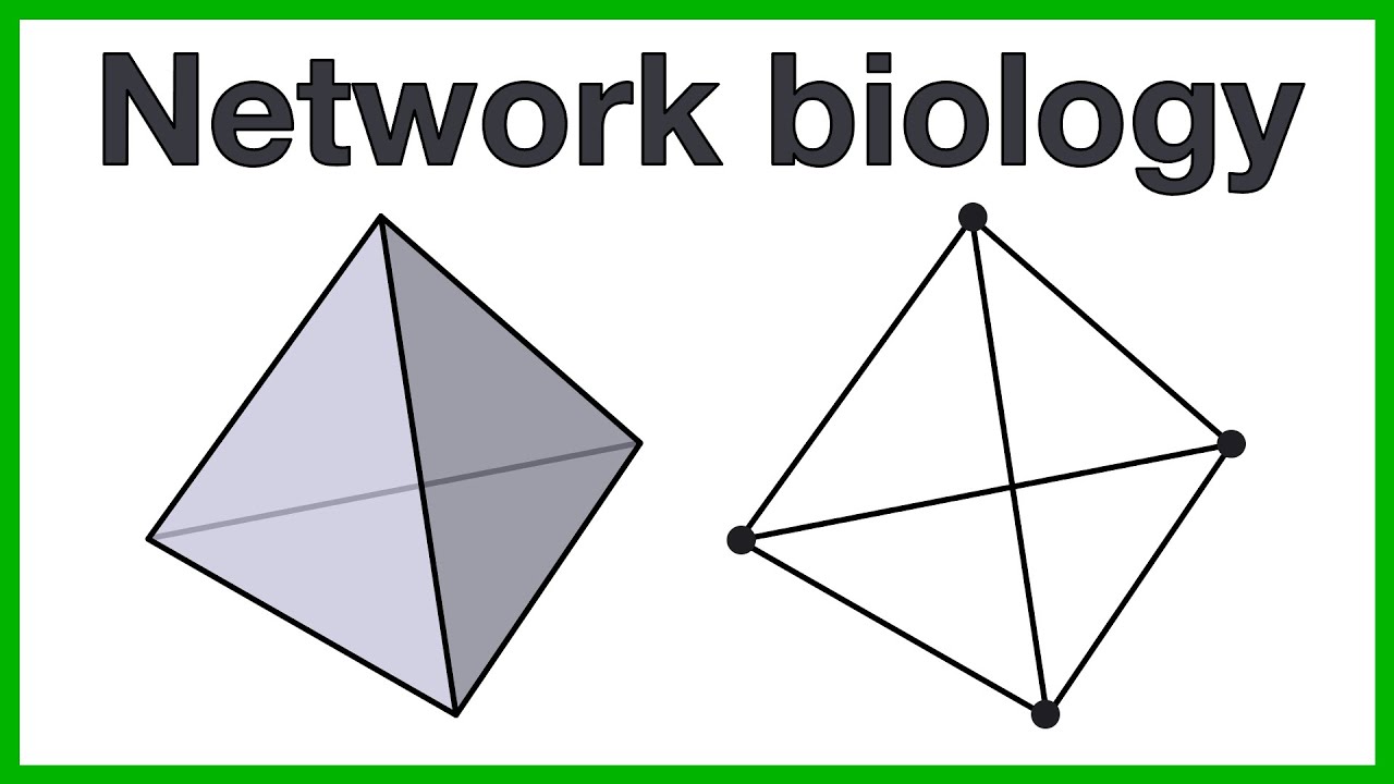 Network biology: A short introduction to the core concepts