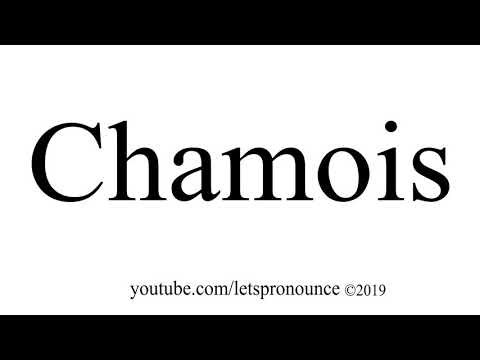 How to Pronounce Chamois