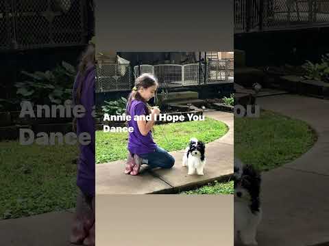 GCH Windsong’s I Hope You Dance