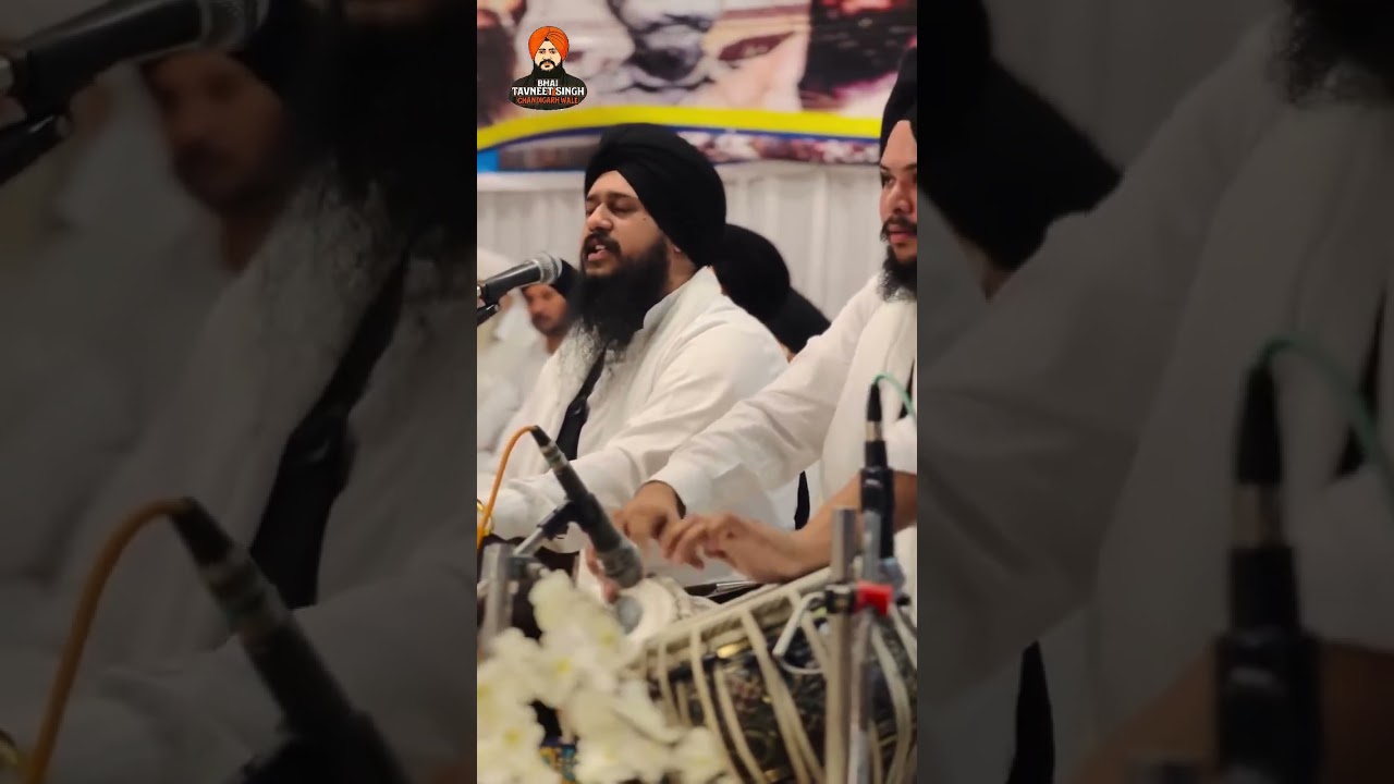 Bhai Tavneet Singh Chandigarh Wale Sargam Alaap Arshpreet Singh #shorts #gurbani #nfak #wmk #sargam