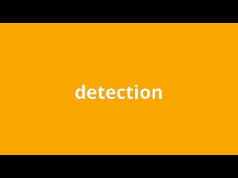 what is the meaning of detection