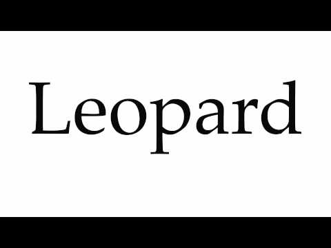 How to Pronounce Leopard