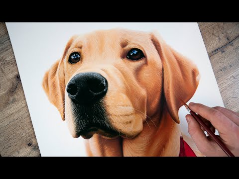 How to Draw a Realistic Dog | Art Tutorial