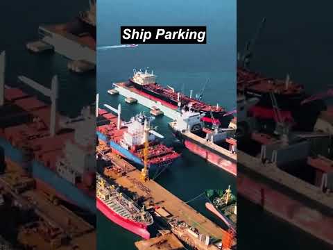 Berthing Of Ship 🛳️ #ship #shorts #shipping