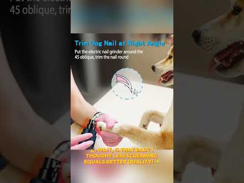Painless Grooming! 🐾✨ | Casfuy Nail Grinder