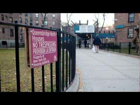 Housing Generations: Life in the Projects