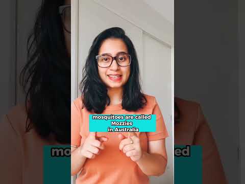 ๐คAustralian Slang for Beginners!