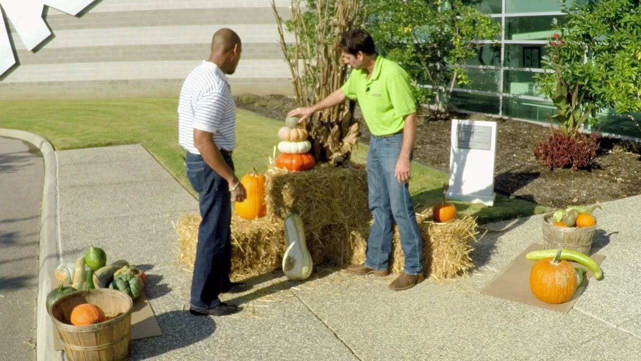 The Family Plot -- October 17, 2015