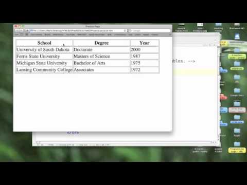 HTML: Tables with borders