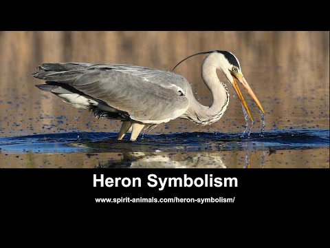 Heron Symbolism