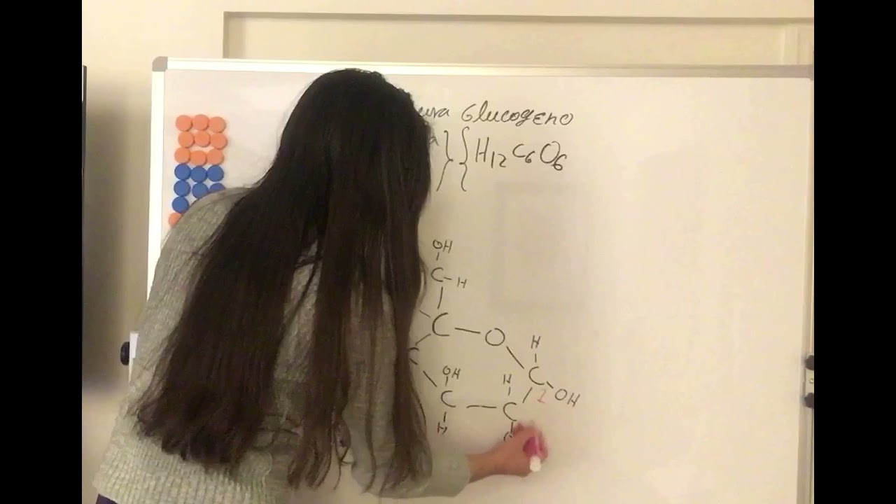 Estructura de Glucógeno. Bioquímica