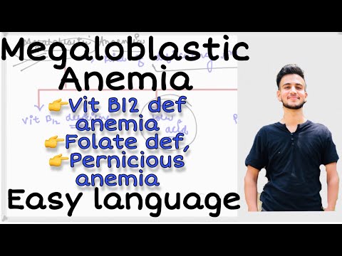 Megaloblastic anemia :vitamin B12 deficiency anemia /folate deficiency /Pernicious anemia #anemia