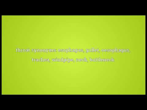 Throat Meaning
