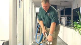 3 Best Carpet Cleaners in Raleigh, NC - Expert Recommendations