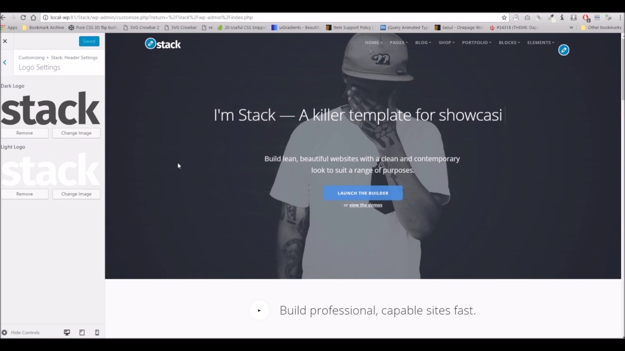 Stack WordPress Theme - Theme Options Overview