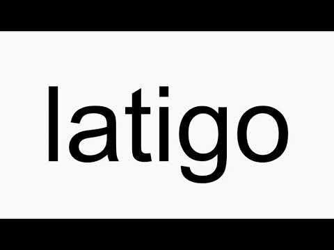 How to pronounce latigo