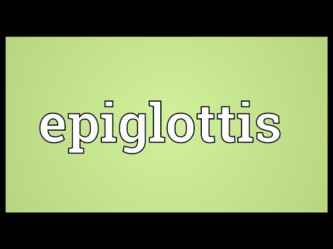 Epiglottis Meaning