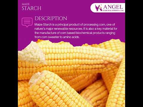 Angel Starch And Food Private Limited - Manufacturer of Starch For Food ...