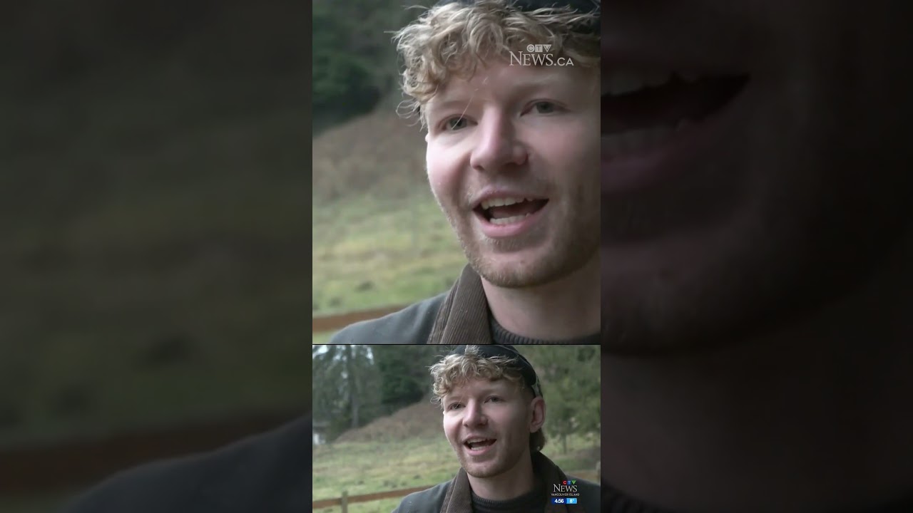 B.C. man creates his own hobbit house