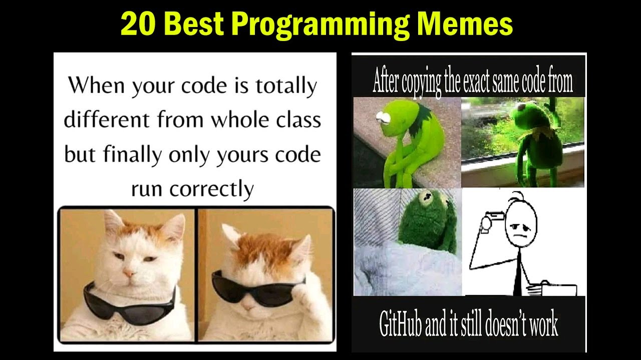 20 Best Programming Memes Ever !