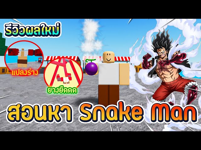 Roblox | Two piece #4 สอนวิธีหา ลูฟี่เกียร์ 4 ร่าง Snake Man + รีวิวผลยาง V2 มาใหม่ (Luffy Gear ...