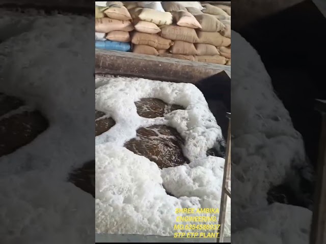 Air Cooled Roots Blower - Twin Lobe Rotary Compressors Trader ...