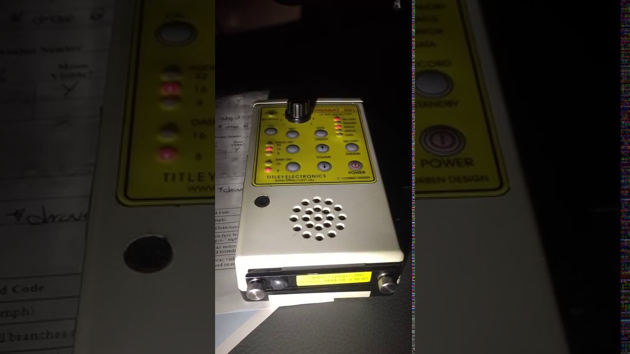 Bat calls recorded by Anabat on Cumberland Island