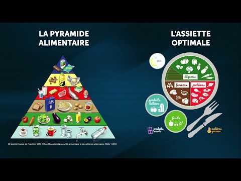 Les groupes d’aliments & l’équilibre alimentaire