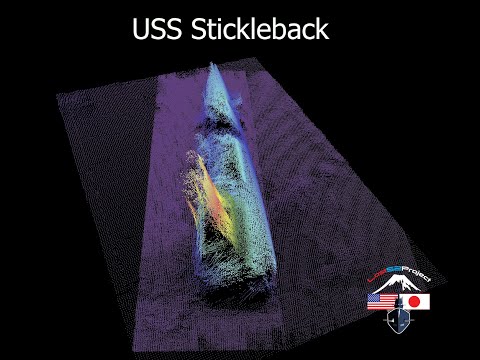Remembering That Time USS Stickleback Collided With a Warship and Sank ...
