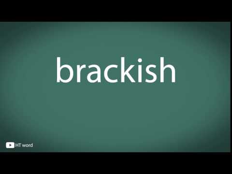 brackish ( pronunciation)