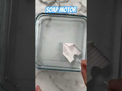Surface tension boat motor? #science #experiment #diy #stem