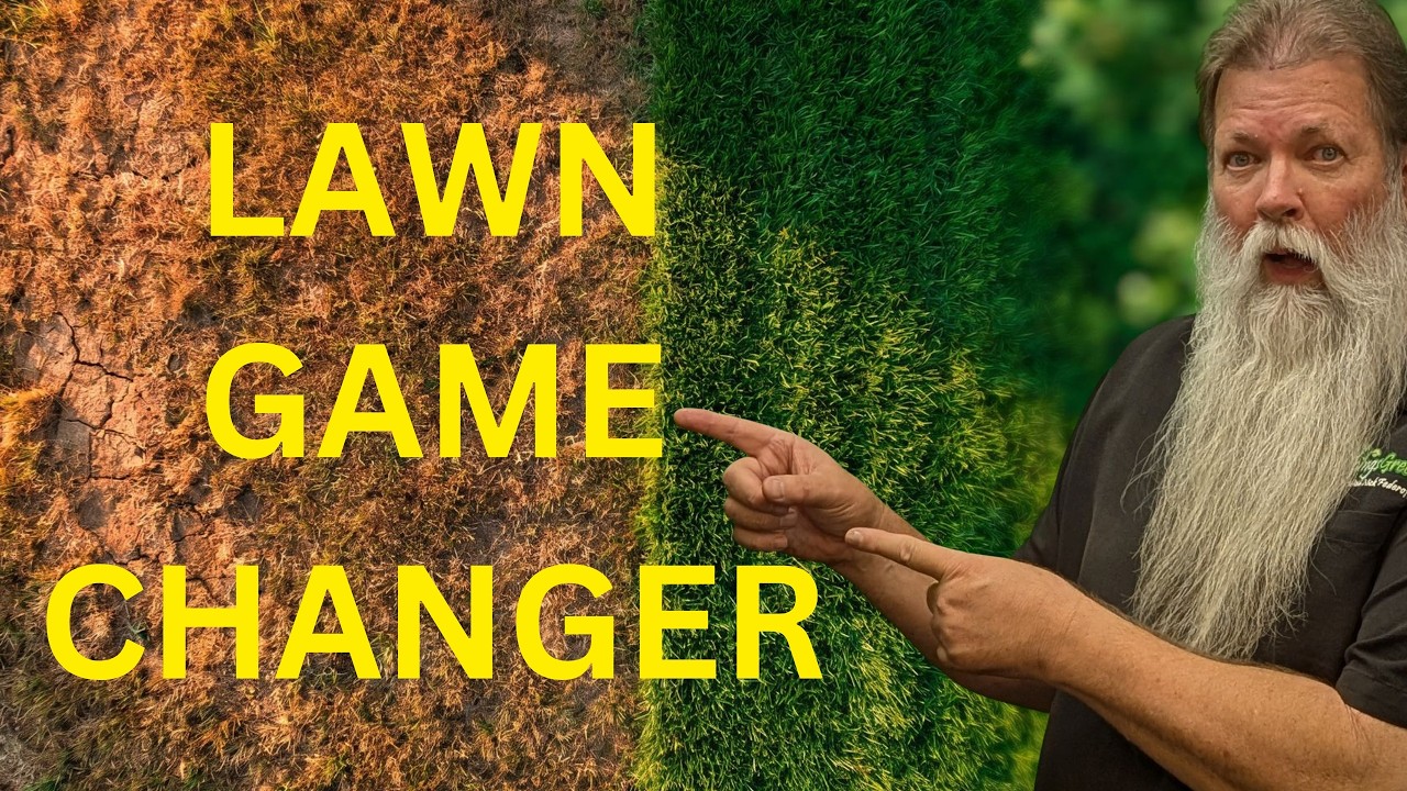 Spring Guide: The MISSING Piece in Lawn Care