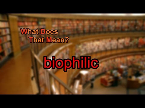 What does biophilic mean?