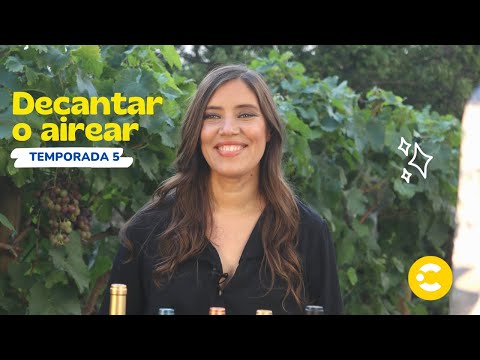 ¿Es necesario decantar el vino? 🤔