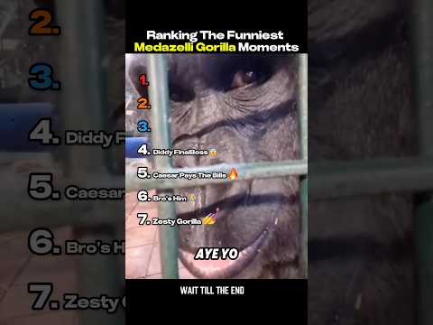 Ranking Medazelli Gorilla Moments😭😭