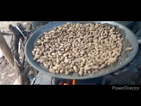 Paano Magsangag ng Mani?(Sanlag sa Bisaya)#sangagmani#sanlagmani.Vlog#84#cooking#piggery#pongsetra