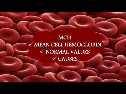 Mean Cell Hemoglobin | MCH |Purpose | Causes | Dr Talha Manzoor
