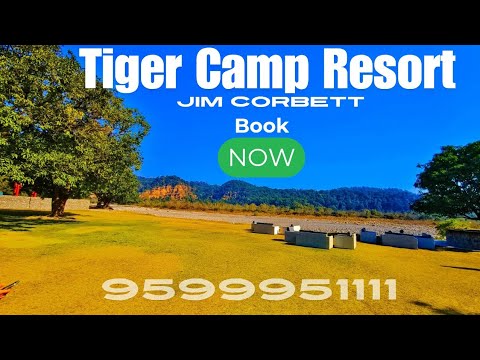 Tiger Camp Resort | Tiger Camp Riverside Resort | Luxury Stay in Jim Corbett! Dhikuli Ramnagar| Kosi