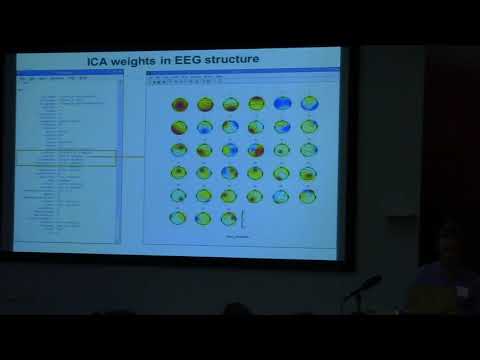Performing ICA and ICA Visualization by Julie Onton