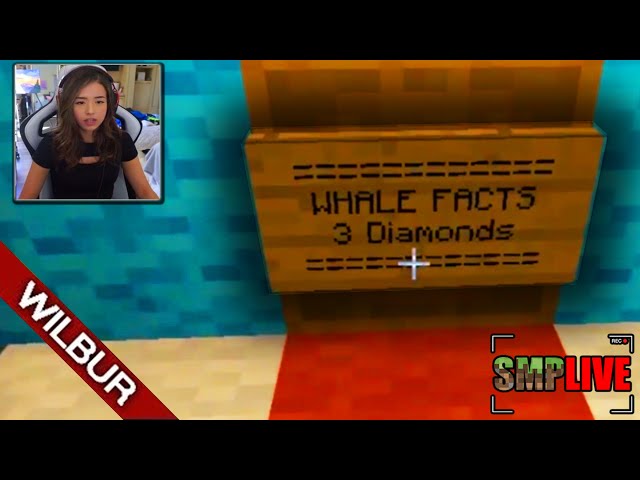 Wilbur Soot's Whale Facts (Not for children) Minecraft Texture Pack