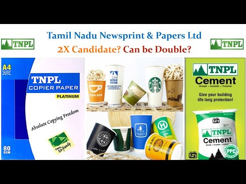 Tamil Nadu Newsprint And Papers Limited | TNPL Share Can be double? TNPL Stock 2X Potential?