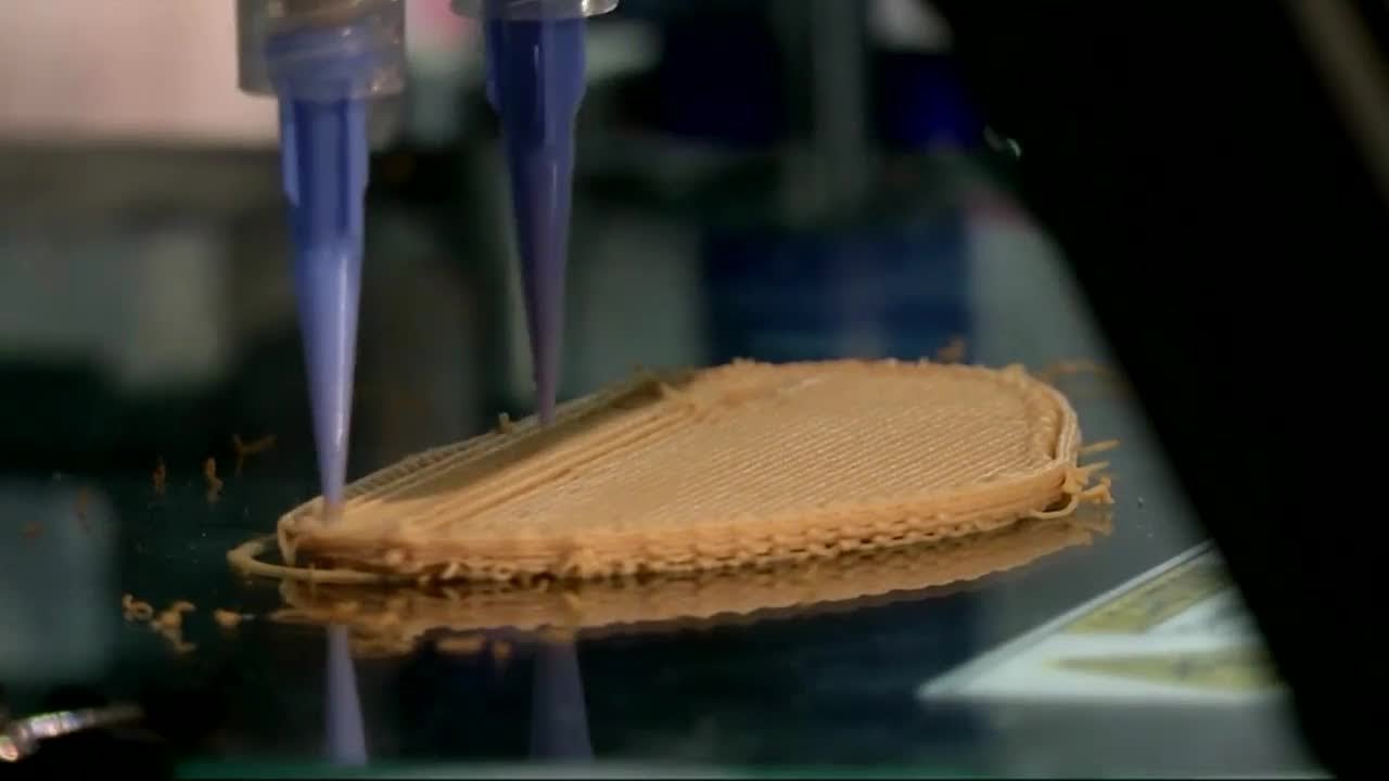 Video Extra: 3-D Printed Vegan Steak