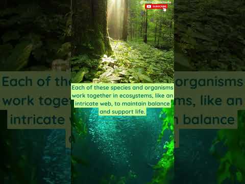 What is Biodiversity? #biologyexams4u #biodiversity #ecosystem